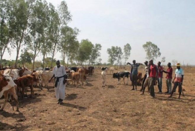Banditry: Sokoto govt. to form joint community watch volunteers - 247 ...