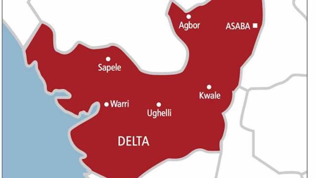 Delta Road Crisis: Man Confronts Security Agents Over Attempted Arrest ...