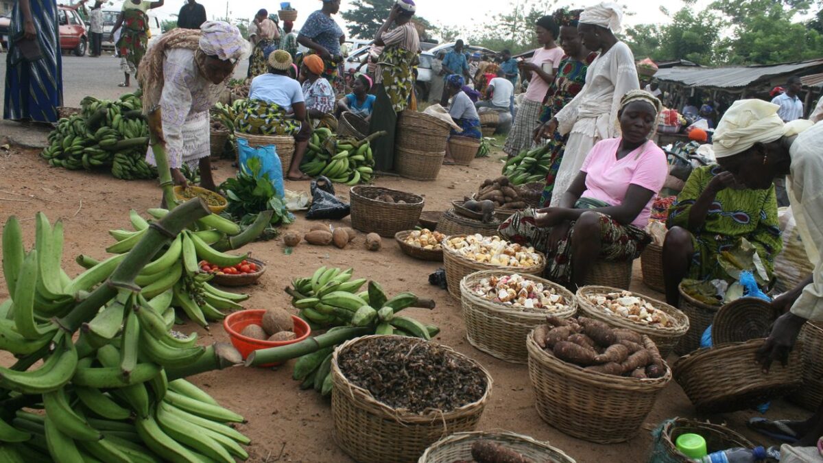 NCF raises alarm over looming food scarcity - 247 Ureports