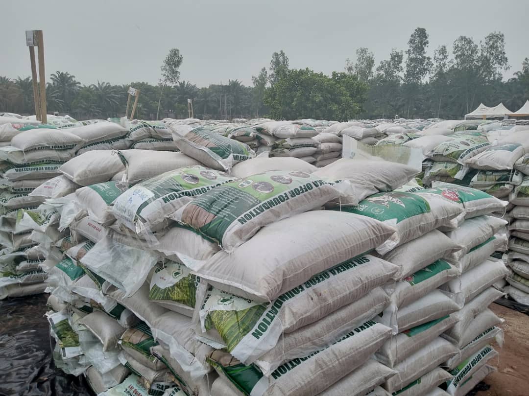 Emeka Offor foundation distributes 40,000 bags of rice to Anambra ...