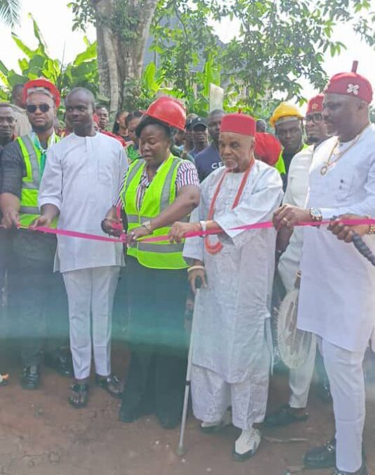 Iyom Amaka Obi to supervise construction of 1km Okenwa Crescent in ...