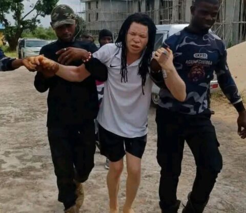 Court Grants Anambra Native Doctor N50 Million Bail, One Surety - 247 ...